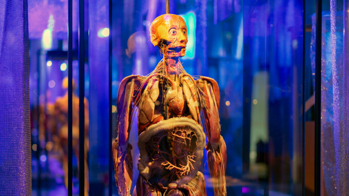 Guidade visningar - Tekniska museet